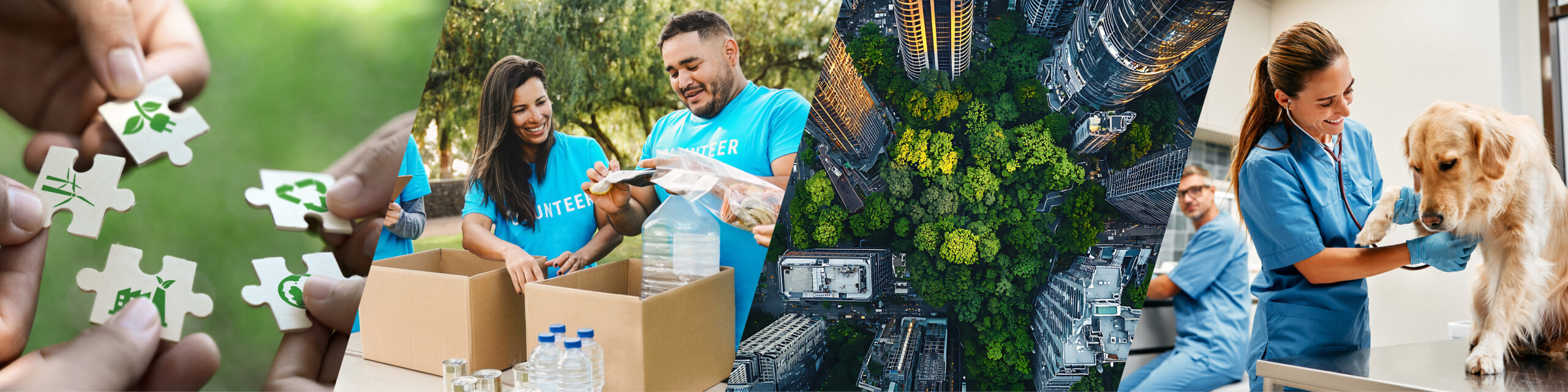 One Health Student Leadership Summit | University of Tennessee One ...